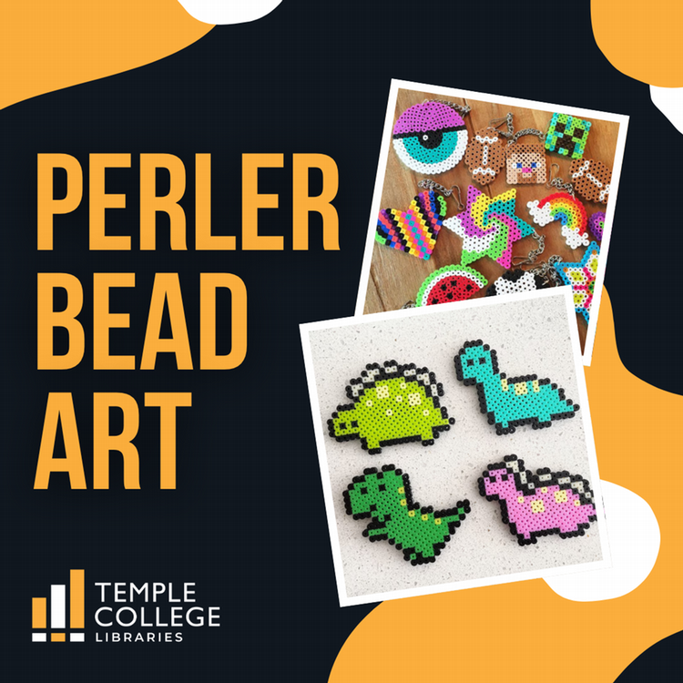 Perler Bead Art